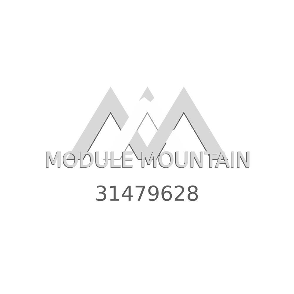 Hydraulic Cylinder – Volvo (31479628) | Module Mountain